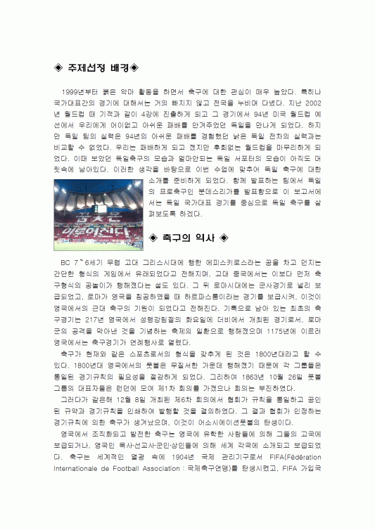 독일의 축구 레포트 자료