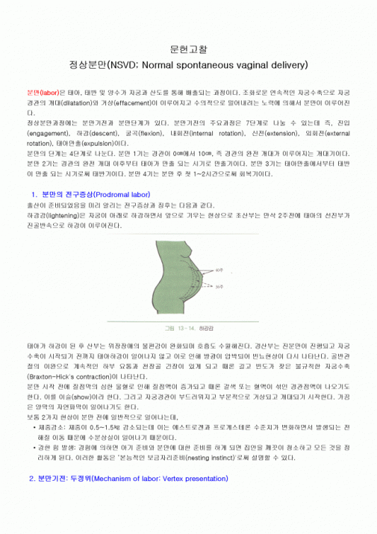 자연분만 문헌고찰 케이스 고찰