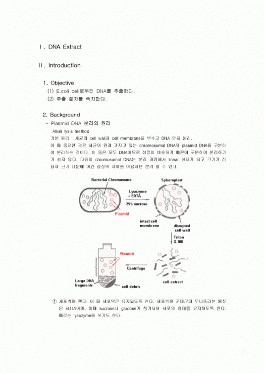 DNA 추출에 대하여