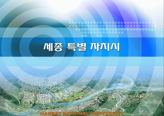 세종 특별 자치시