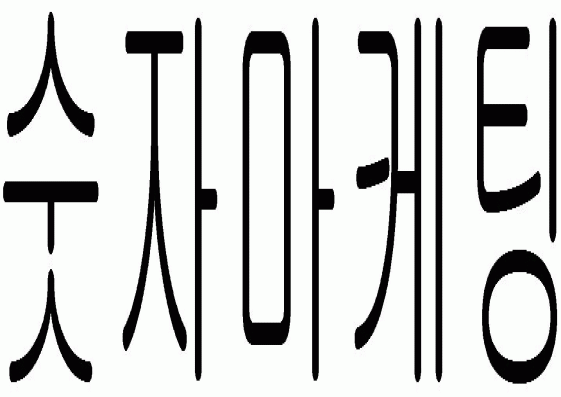 [마케팅]숫자마케팅 사례제시 및 효과적 실행전략