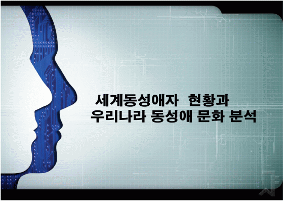 [여성학] 세계동성애자 현황과 우리나라 동성애 문화 분석