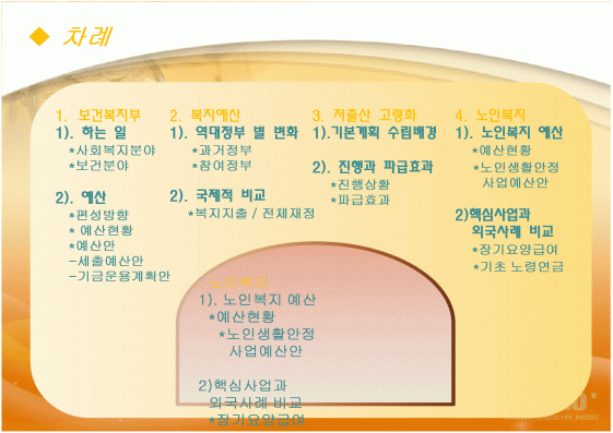 [행정학]보건복지부 핵심사업과 외국사례 비교 및 복지예산 편성분석