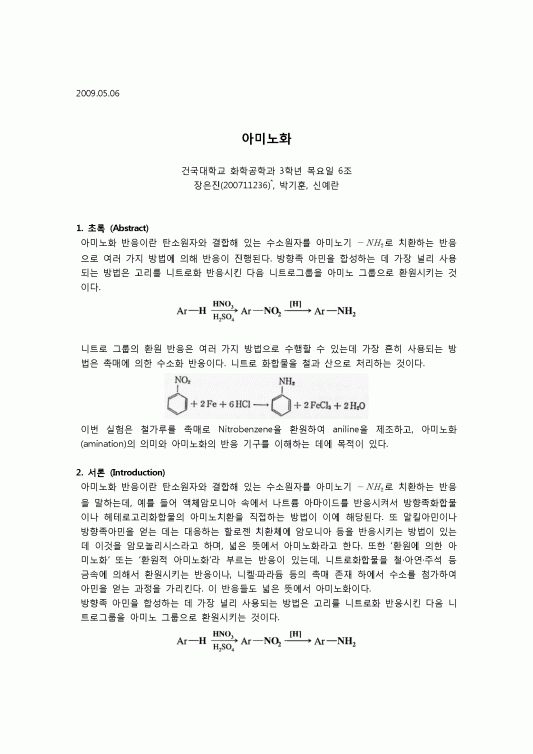 아미노화 반응