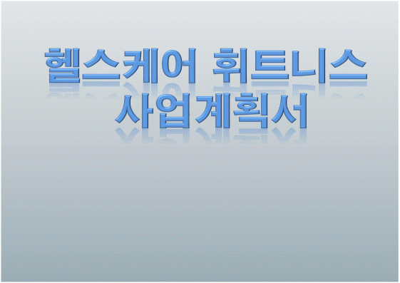 헬스케어 휘트니스 사업계획서
