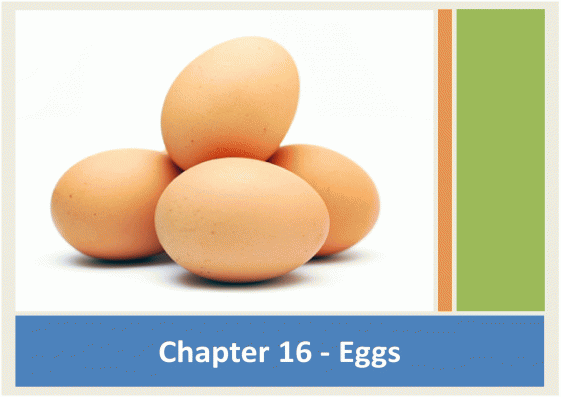 Chapter 16 - Eggs 레포트 자료