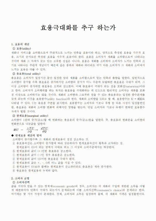 효용 극대화 레포트 자료
