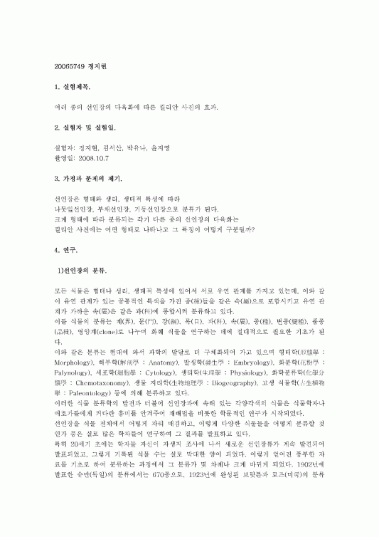 kirlian 킬리안 전기를 이용한 사진 실험.
