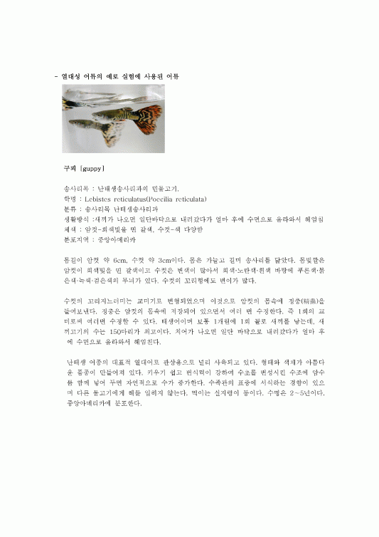 광학현미경,실체현미경 실험