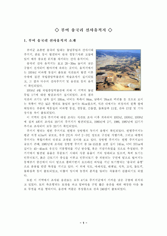 한국의 역사와 문화 - 청동기유적