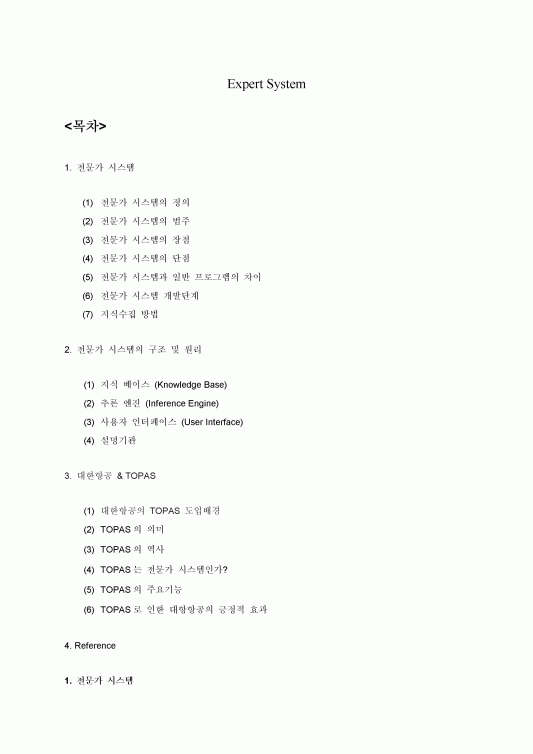 (Expert System) 전문가 시스템