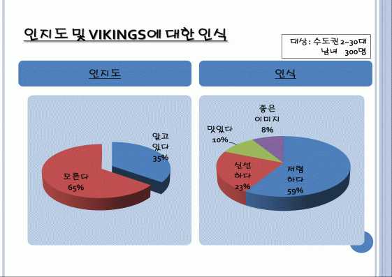 바이킹스 마케팅및 SWOT분석