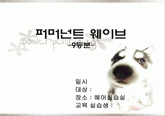 헤어미용-연구수업ppt