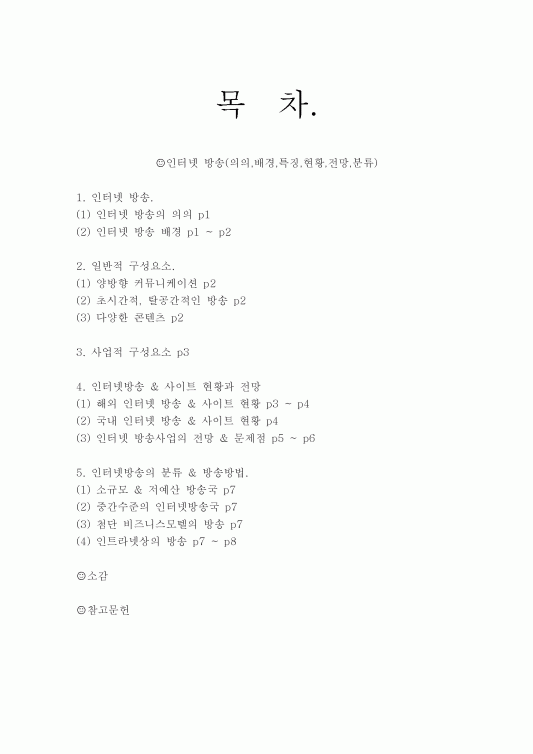 인터넷방송 레포트 자료