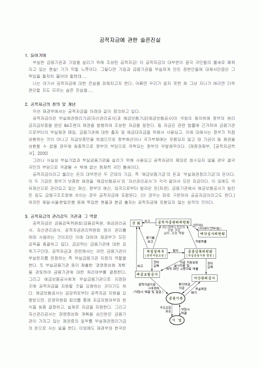 공적자금에 관한 슬픈진실