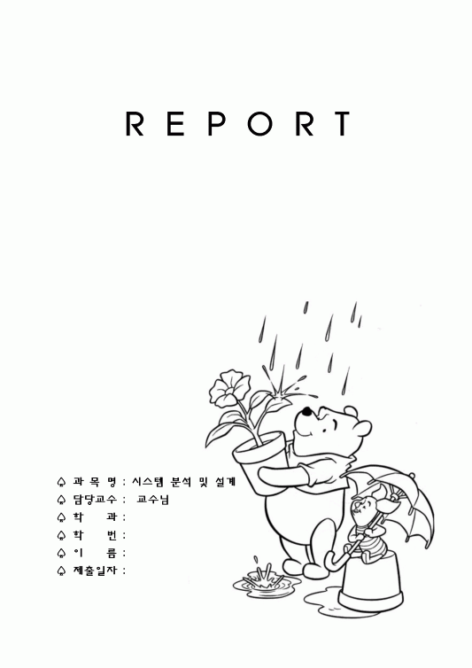 시스템의 조사와 분석