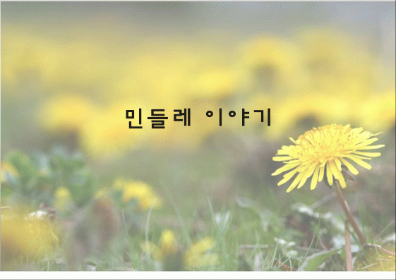 민들레 이야기