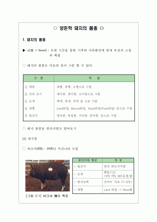 양돈학 돼지의 품종
