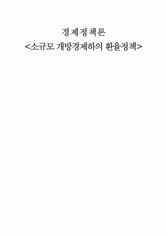 소규모 개방경제하의 환율정책