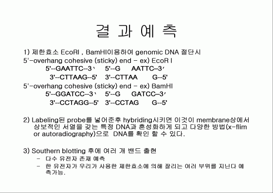 [분자생물학과,유전학과,유전공학과 등] southern blotting 실험 및 발표 자료