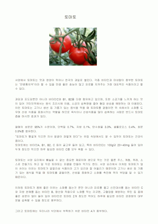 토마토의 효능