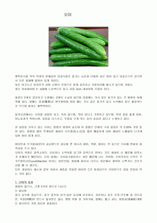 오이의 효능 레포트 자료