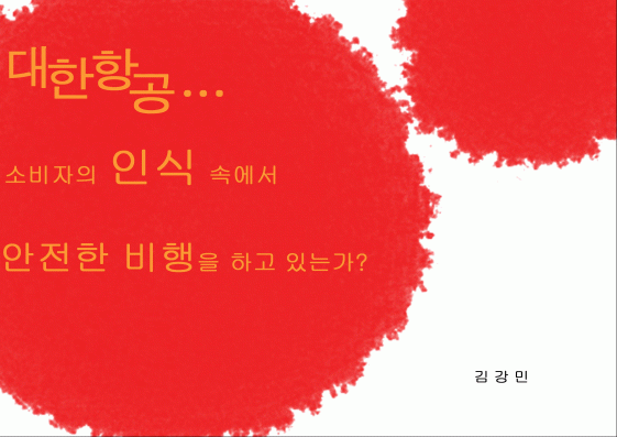 대한항공의 전략방안 (대한항공은 소비자 인식 속에서 안전한 비행을 하고 있는가?)