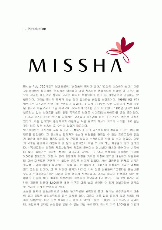 미샤의 마케팅 분석과 향후 전략 방안