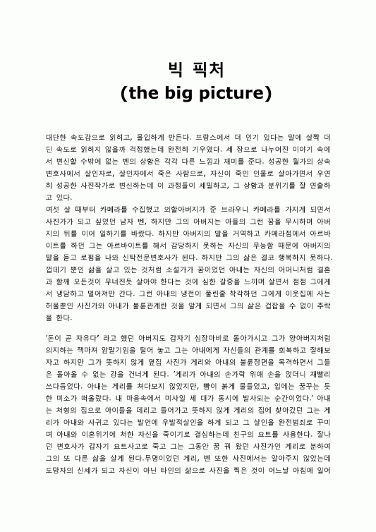 우수독후감(베스트셀러,외국소설)-빅픽처(the big picture)