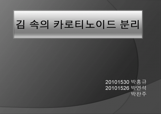 김 속의 카로티노이드 분리 실험