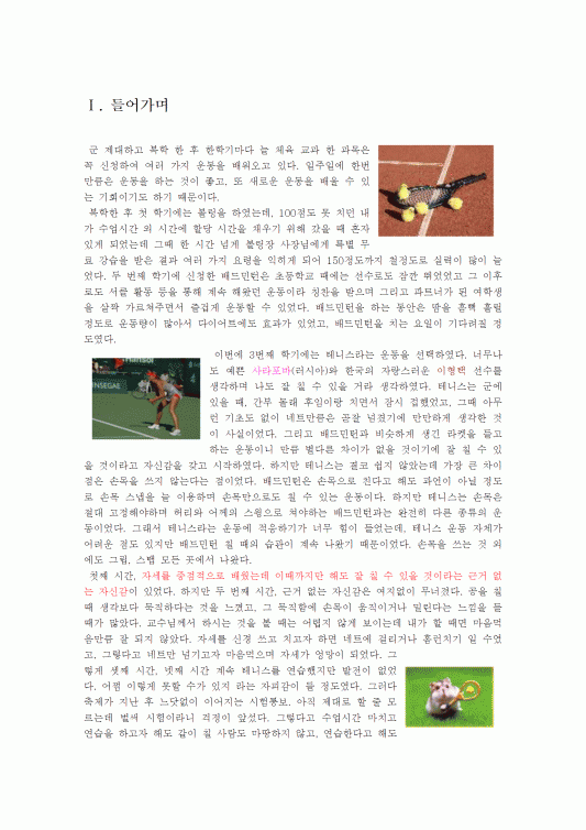 테니스 기원과 소개, 기술, 매너