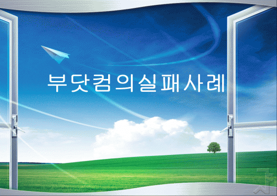 부 닷컴의 마케팅 실패사례