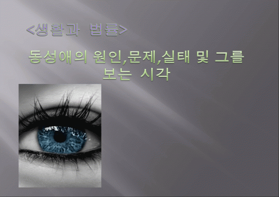 동성애에 대한 시각