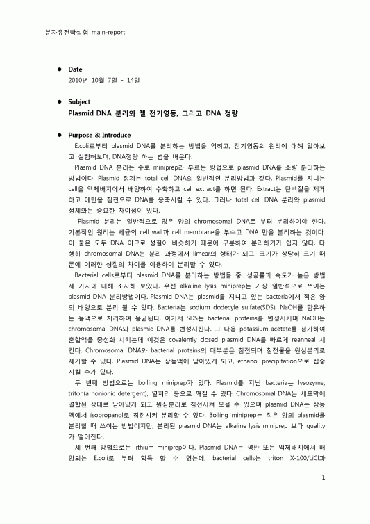 플라스미드 DNA 분리
