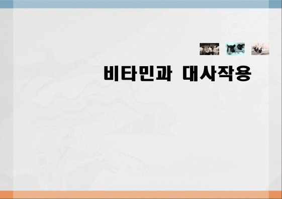 비타민과 대사작용