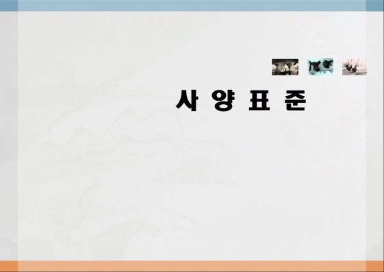 사양표준에 대하여