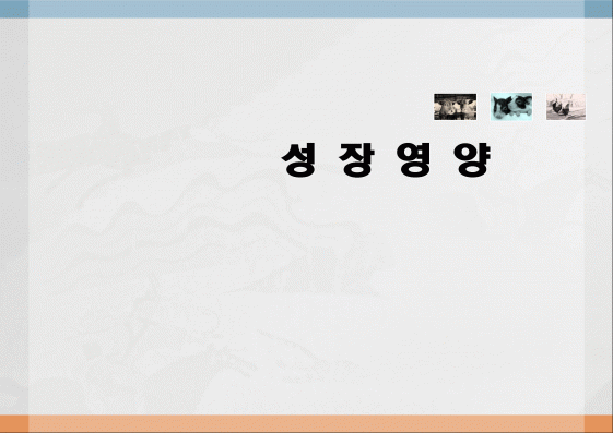 성장영양 레포트 자료