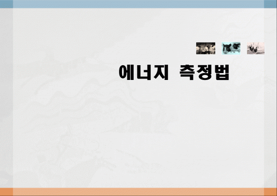 에너지 측정법