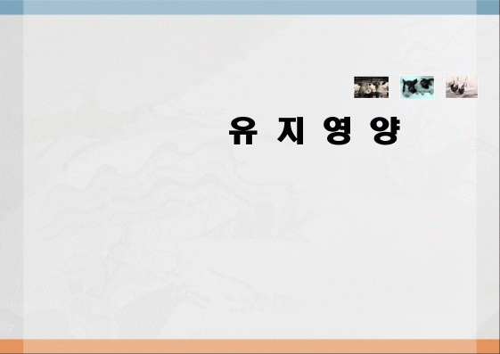 유지영양 레포트 자료