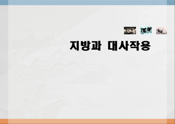 지방과 대사작용