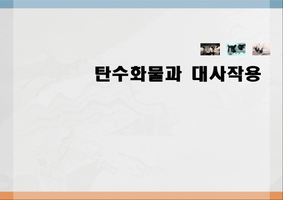 탄수화물 대사작용