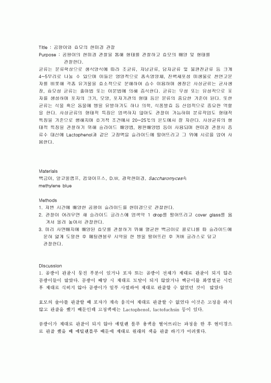 현미경을 통한 곰팡이 효모 관찰(사진포함)
