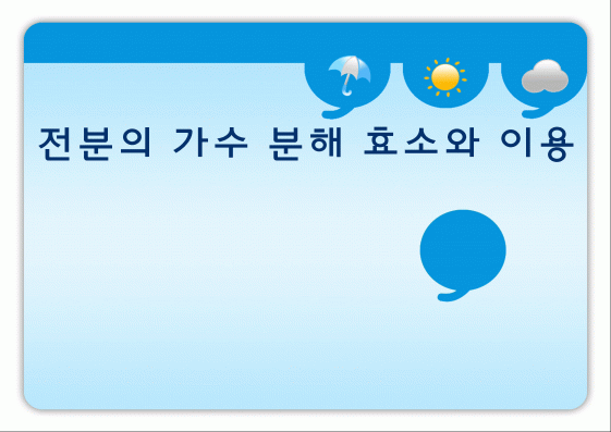전분의 가수 분해 효소와 이용