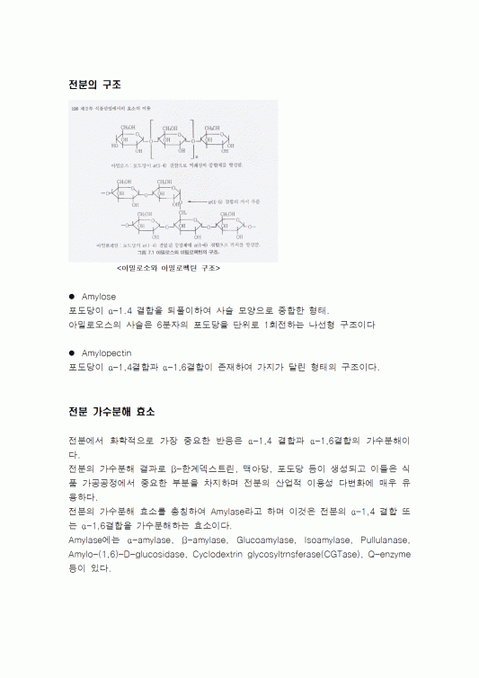 전분의 구조와 가수분해 효소