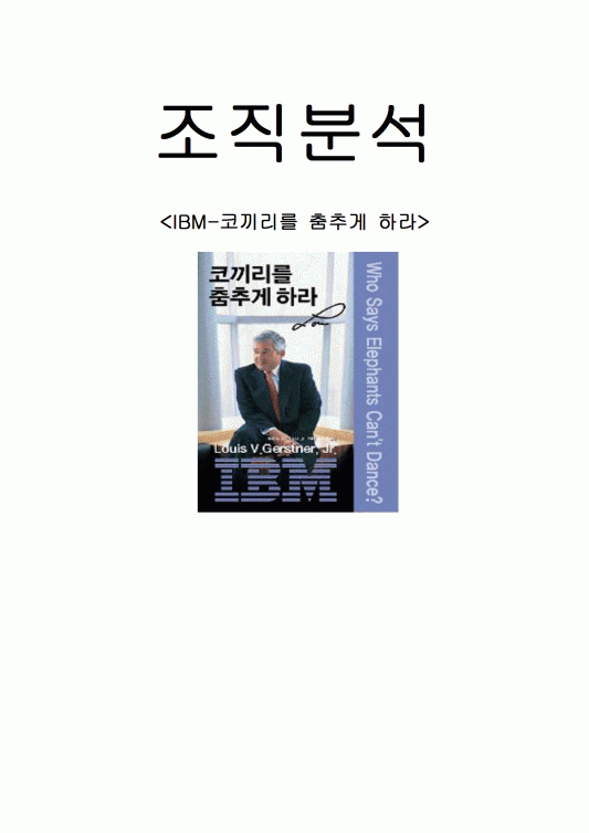 IBM 조직분석 (코끼리를 춤추게 하라 참고)