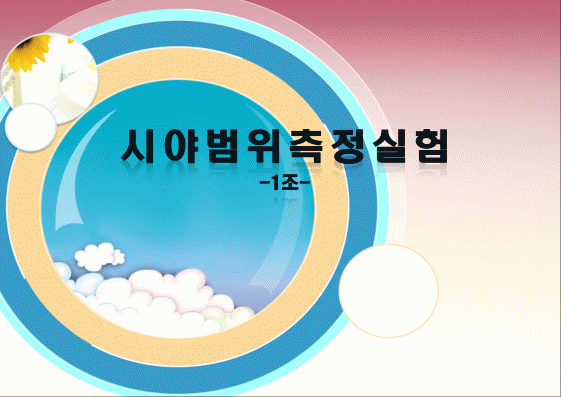 시야 측정 실험