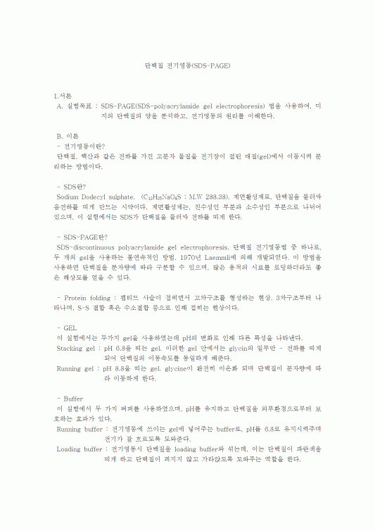 단백질 전기영동법 (SDS-PAGE) 실험