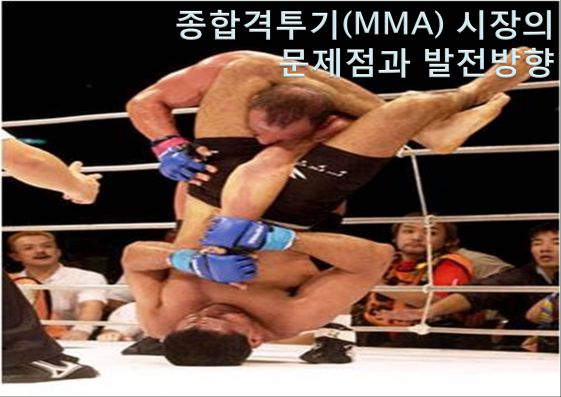 이종격투기(종합격투기) 시장의 문제점과 발전방향