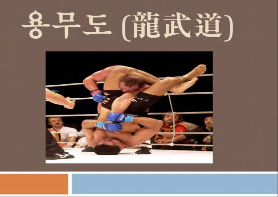 용무도 (龍武道) 소개
