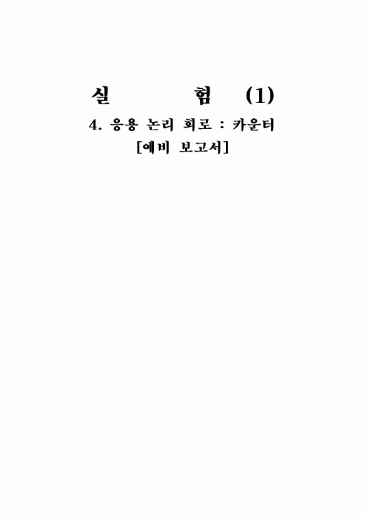 카운터 예비보고서